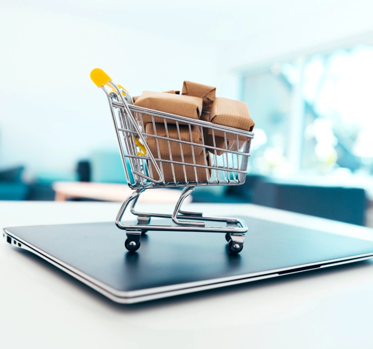 Application Modernization and Development for a Major Ecommerce Platform - Edvantis